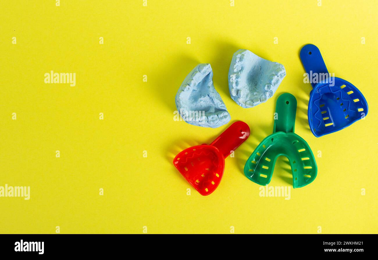 Blue plaster cast of a dental jaw and a dental tray for an impression ...