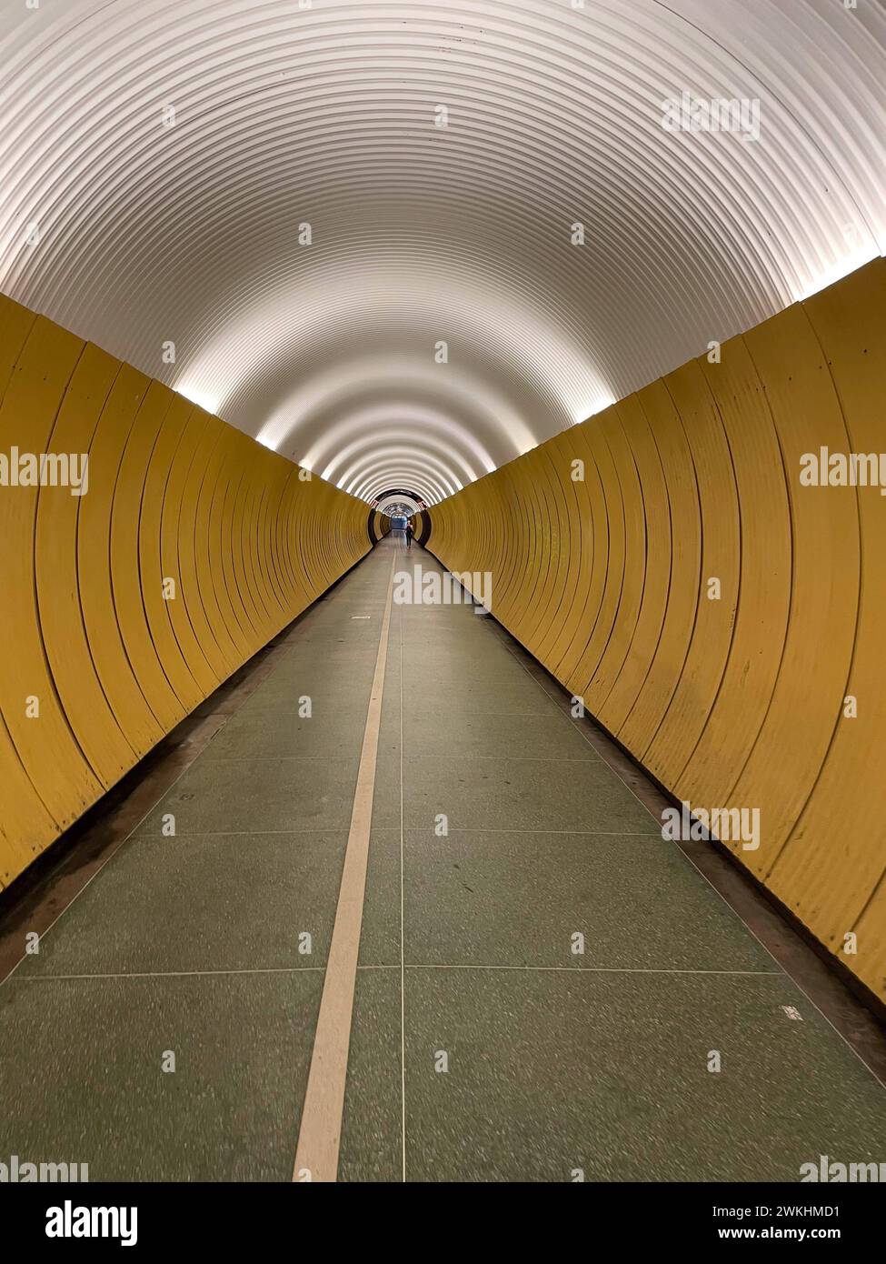 Denmark and sweden tunnel