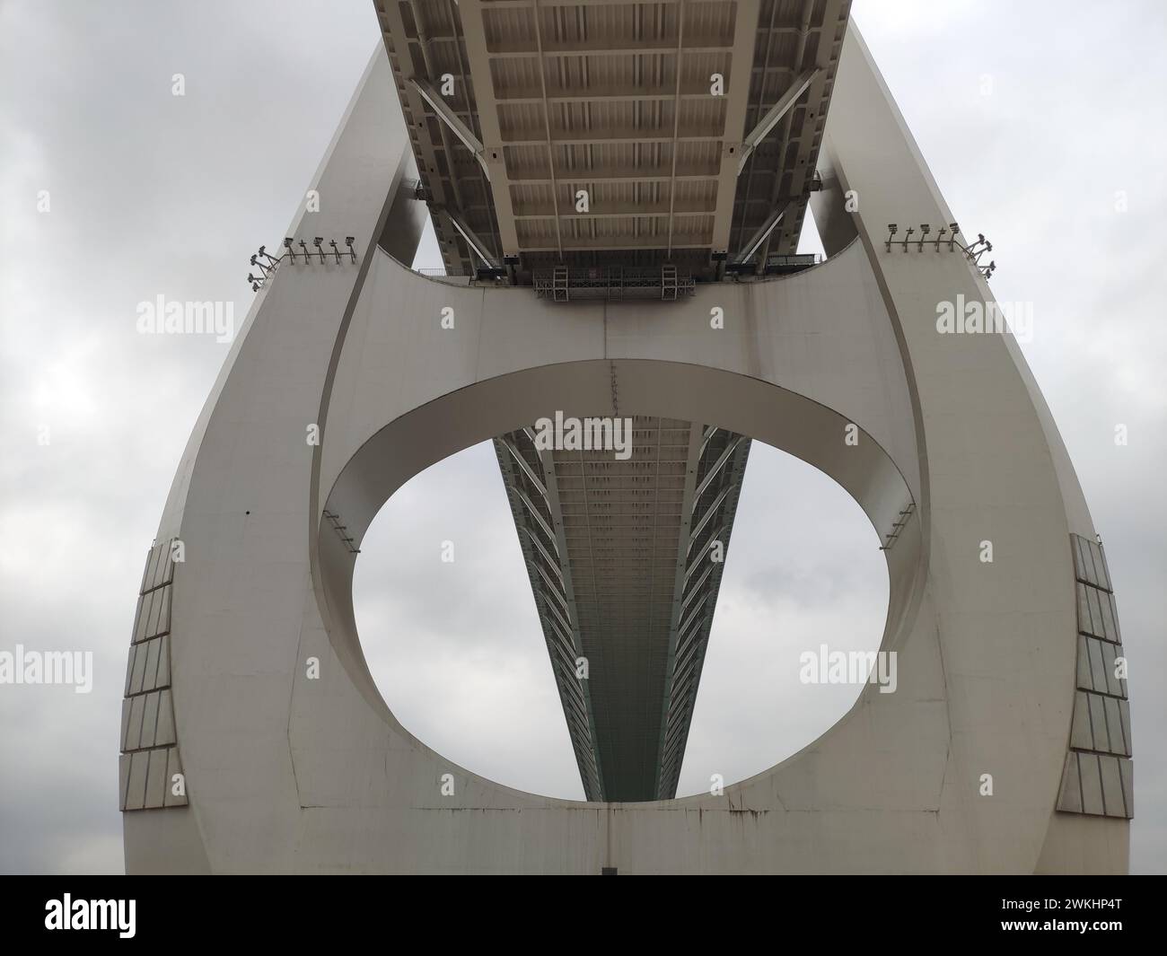 The mesmerizing visual effects of the Baijusi Yangtze River Bridge ...