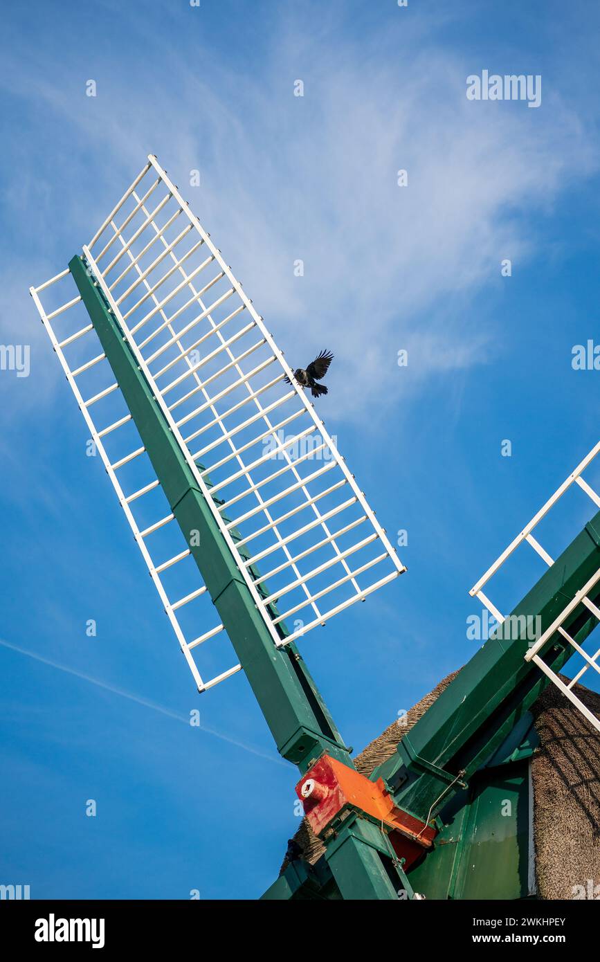 Windmill rod hi-res stock photography and images - Alamy