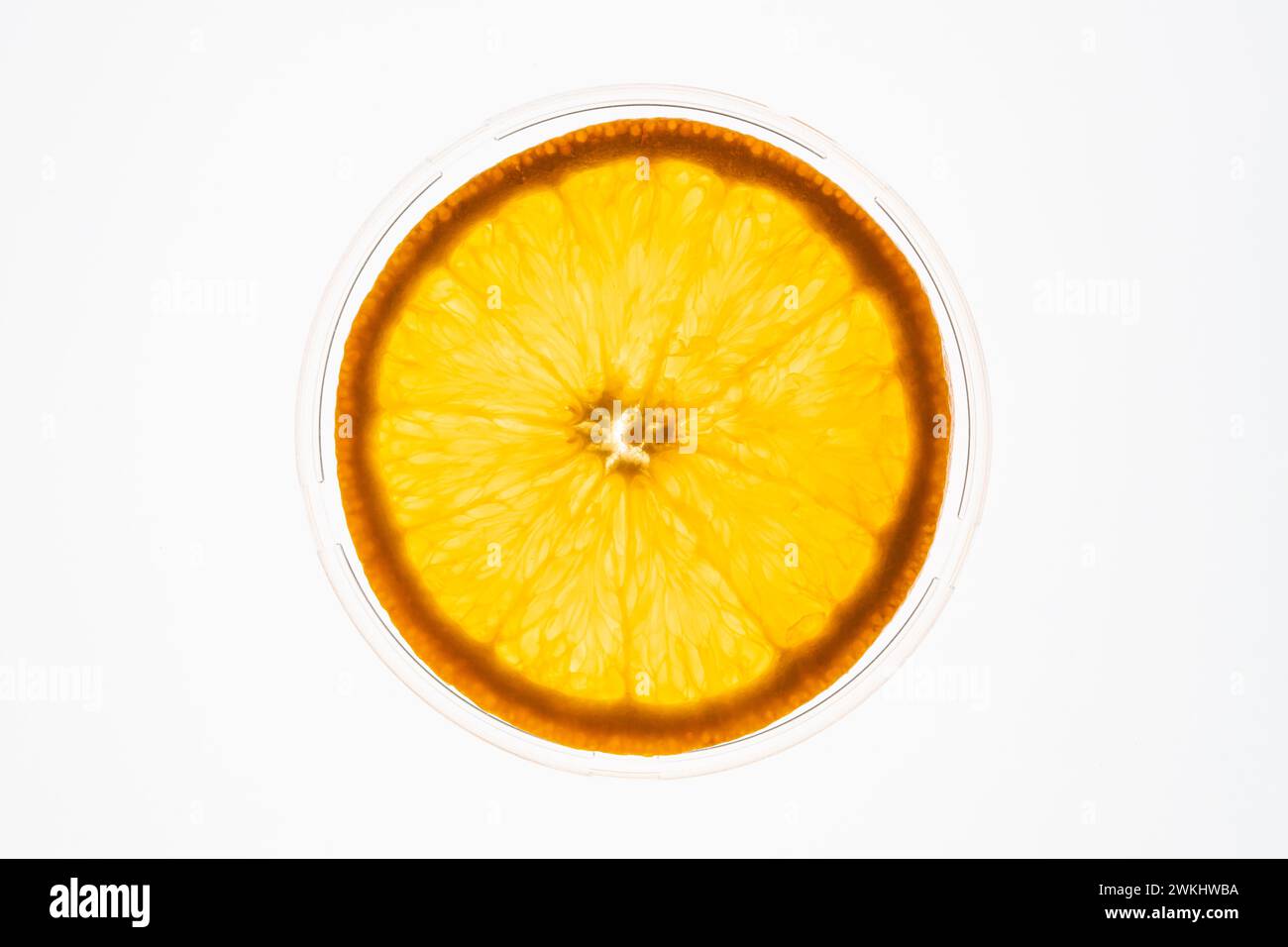 Slice of an orange isolated on white background back lit. Fruit concept ...