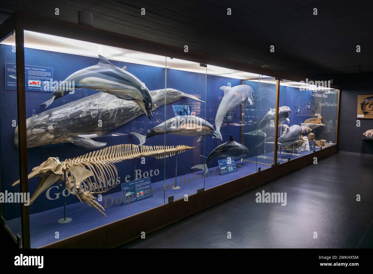 Vasco da Gama Aquarium interior in Alges, Lisbon District, Portugal ...