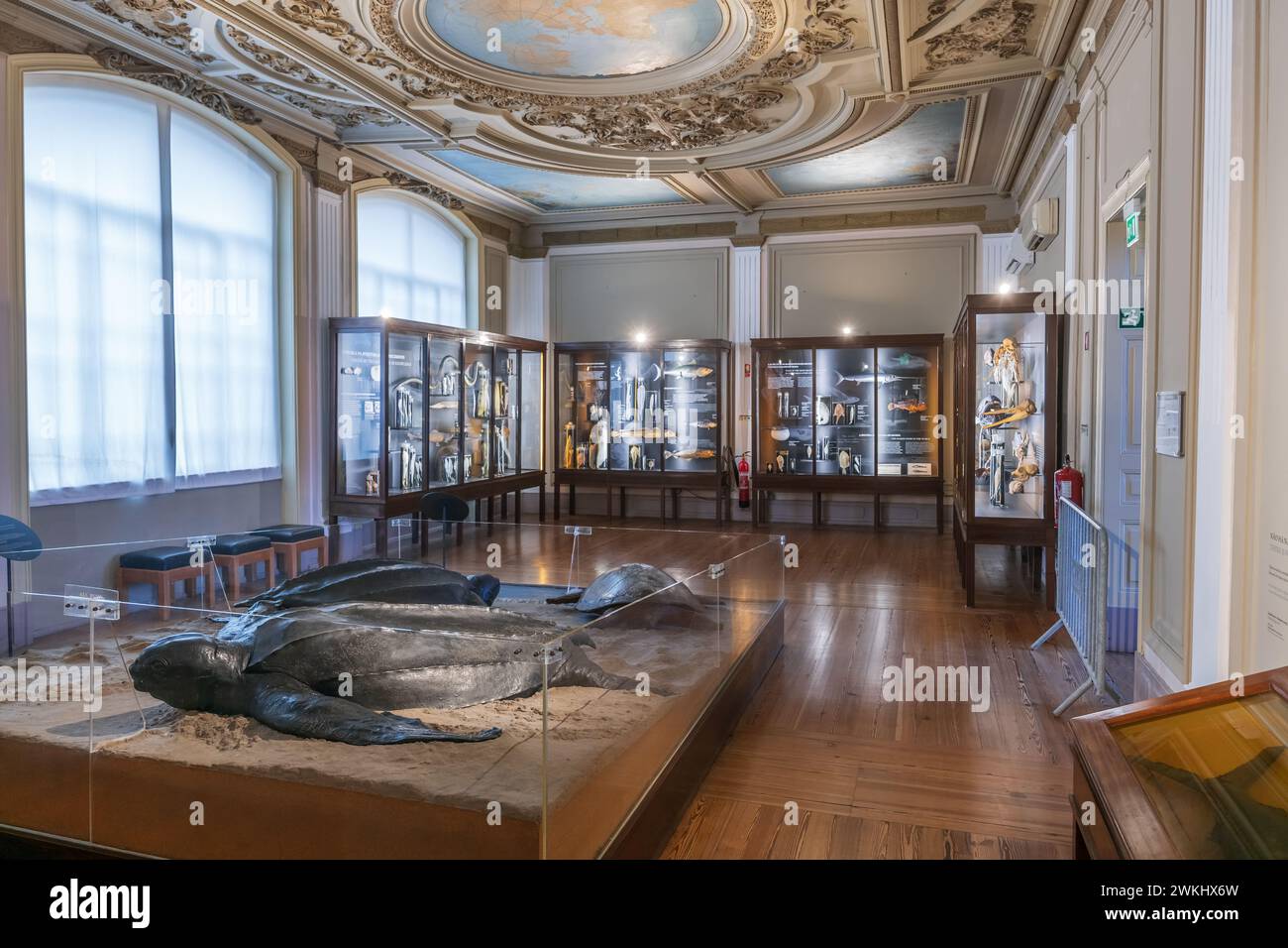 Vasco da Gama Aquarium interior in Alges, Lisbon District, Portugal ...