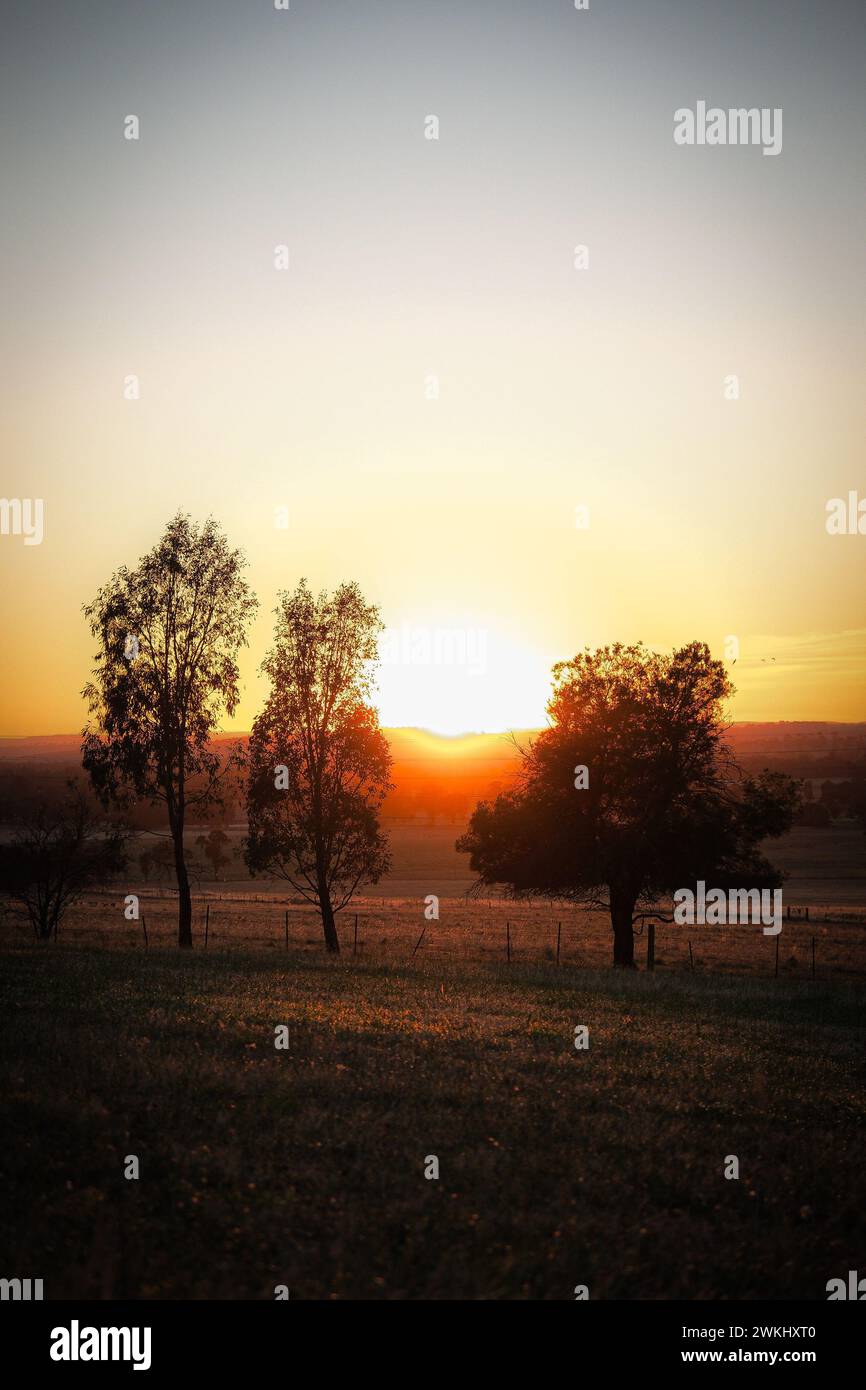 Sunset through the trees Stock Photo - Alamy