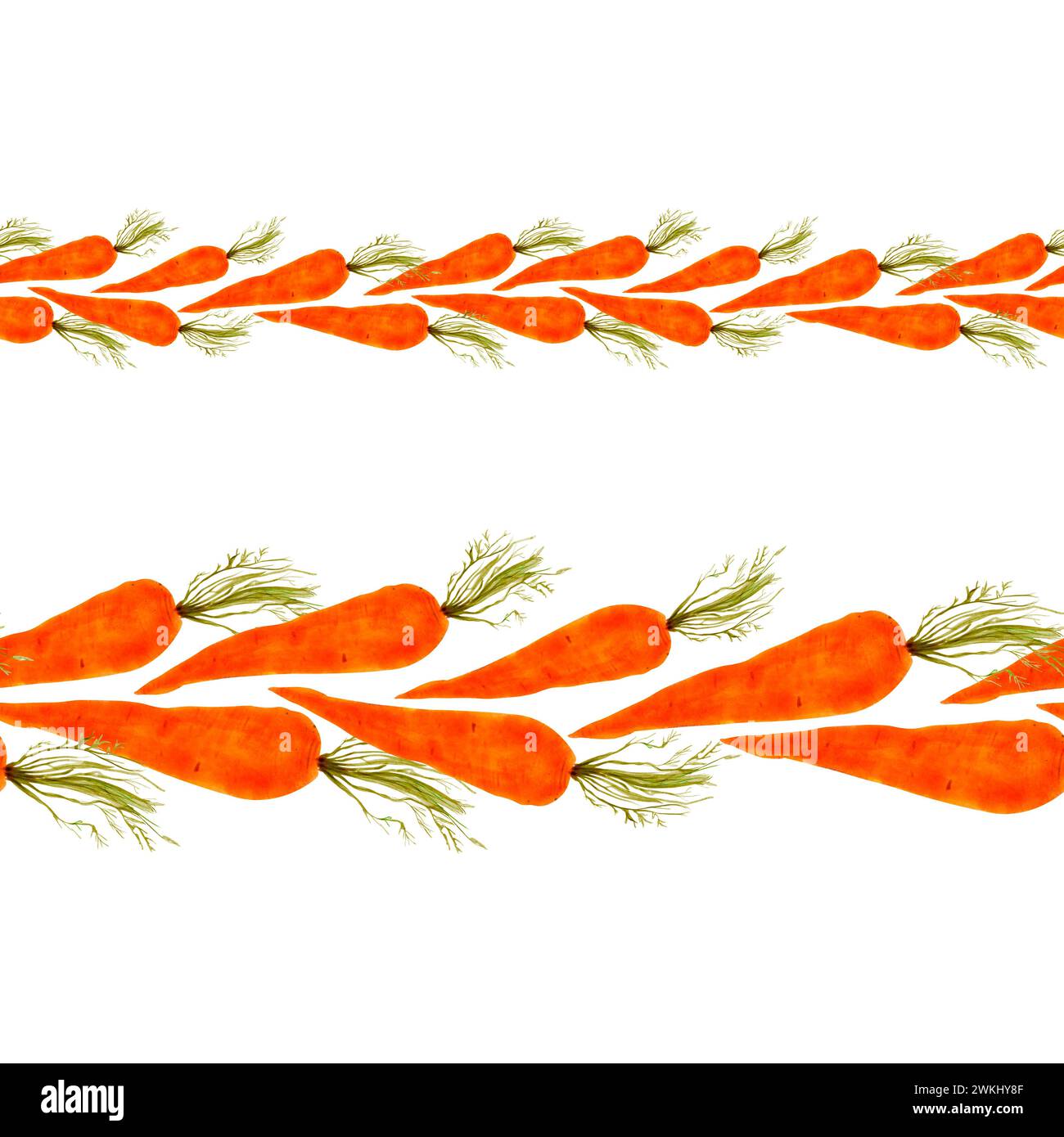 Hand drawn border with carrots. Watercolor vegetable illustration, menu ...