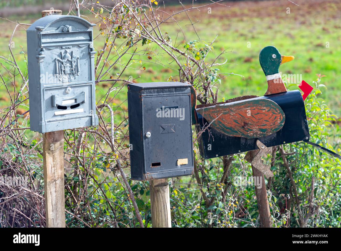 Old traditional post boxes, grey metaql, black metal, and duck on ...