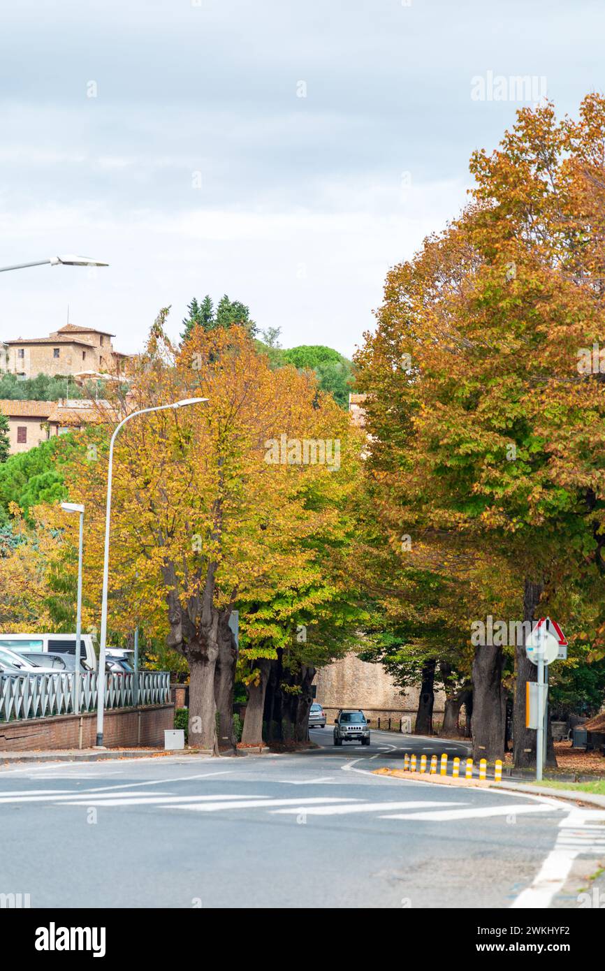 SP1, Strada Provinciale 1 route running under the colourful trees along ...