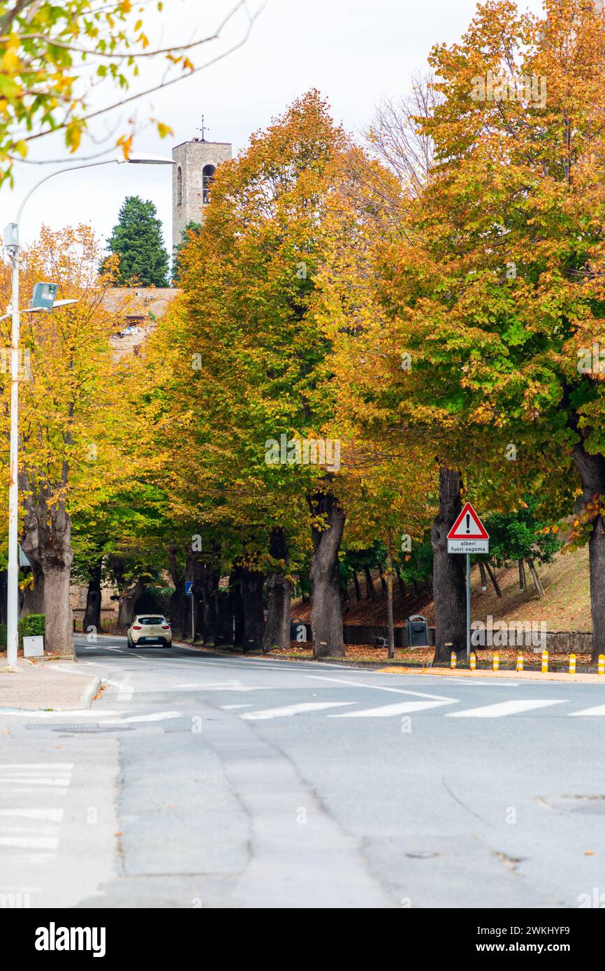 SP1, Strada Provinciale 1 route running under the colourful trees along ...