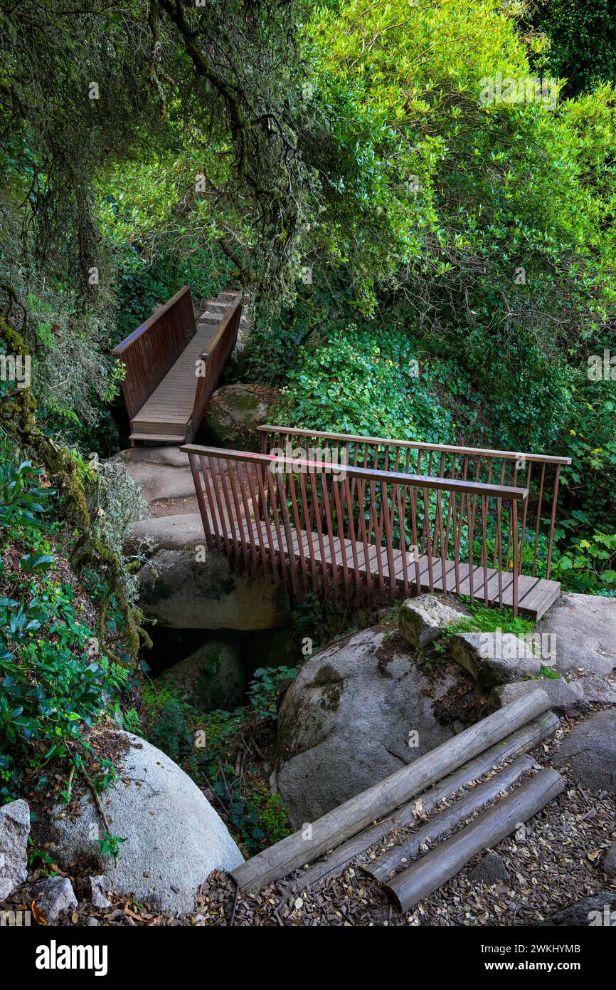 Picturesque path with footbridges over gaps between rocks in dense ...