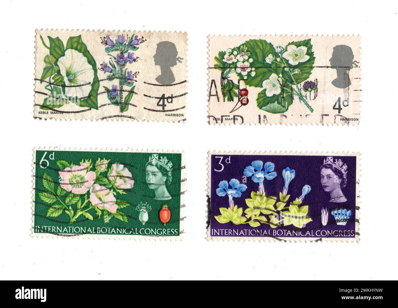 A montage of vintage flower pre decimal postage stamps from the United ...
