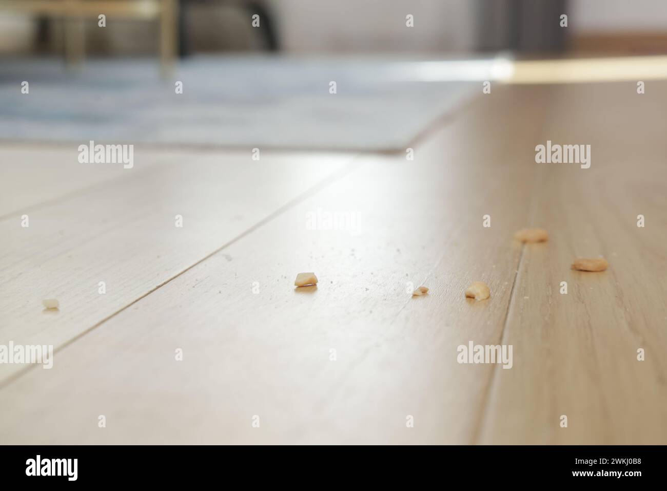 Dropped food crumbs on the wooden floor Stock Photo - Alamy