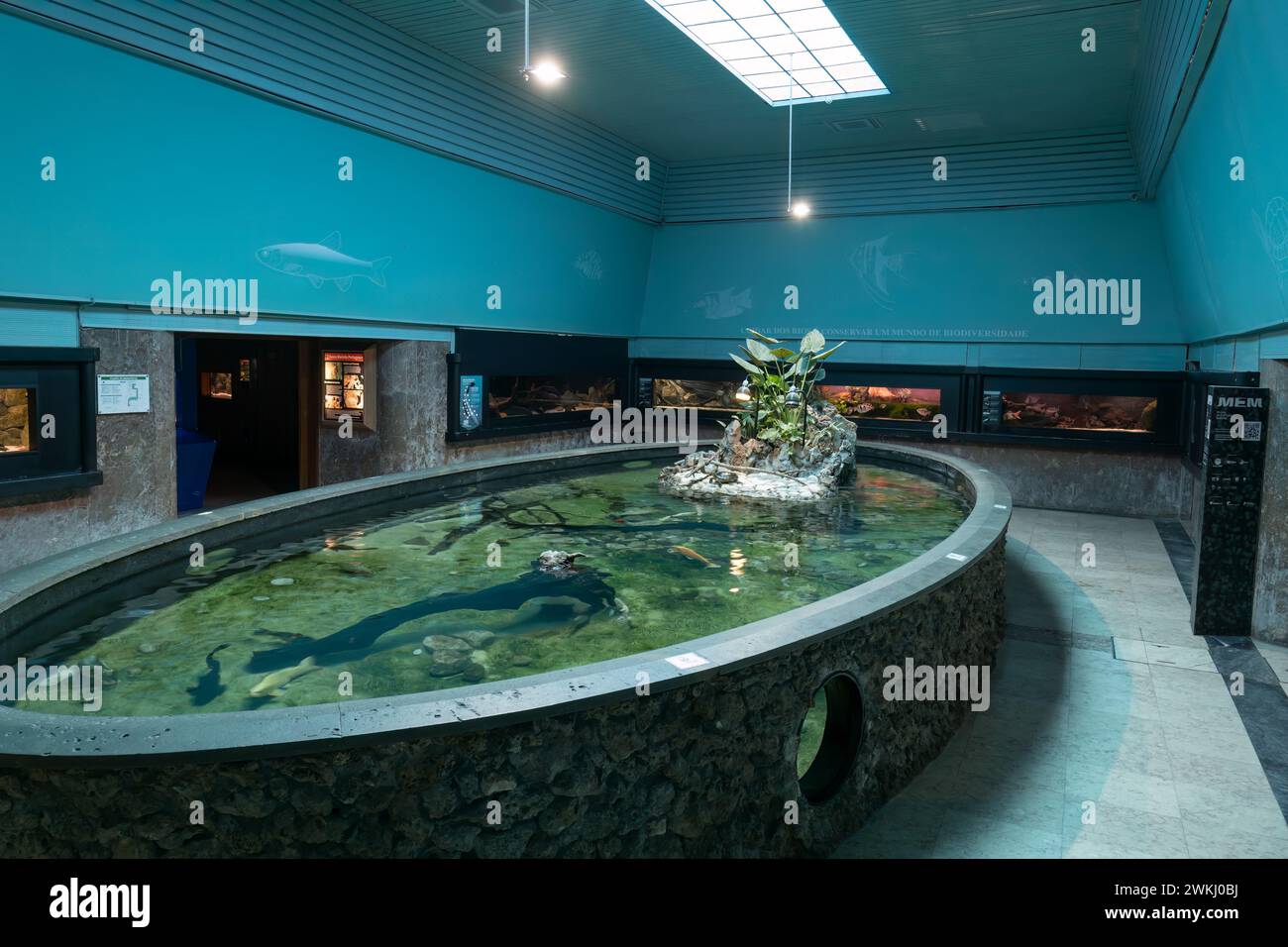 Vasco da Gama Aquarium interior in Alges, Lisbon District, Portugal ...