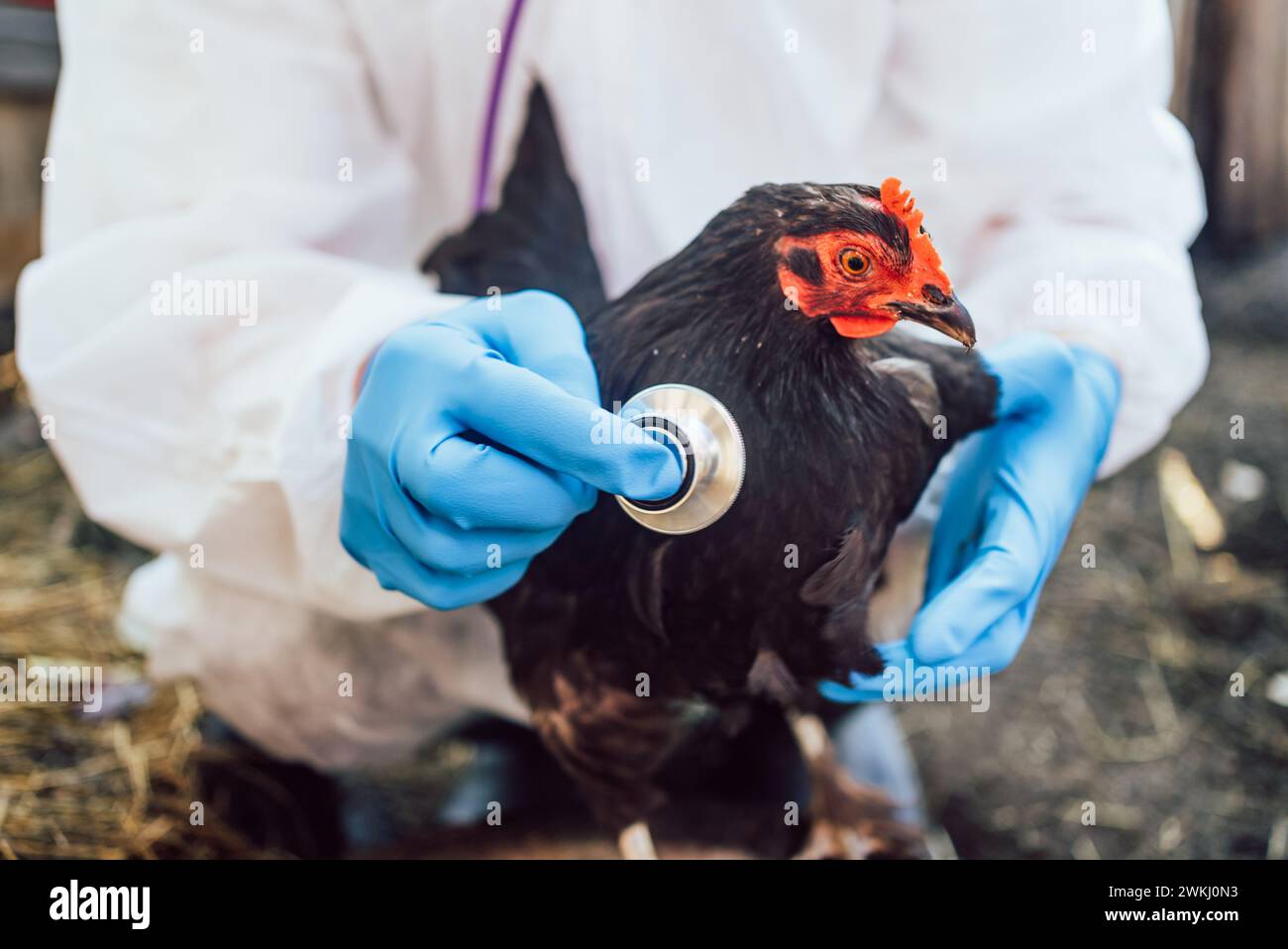 Biosecurity gear hi-res stock photography and images - Alamy