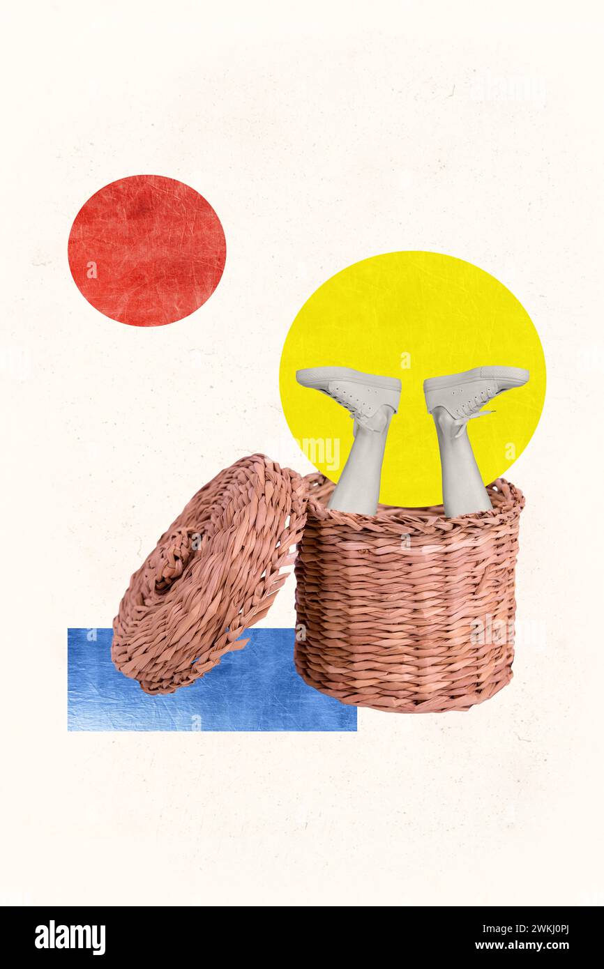 Vertical creative collage image of funny man inside wicker basket ...