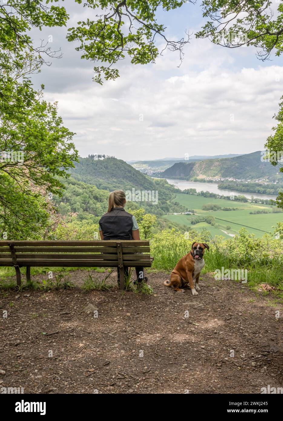 Tourist girl sitting on a bench with a puppy boxer dog looking at the ...