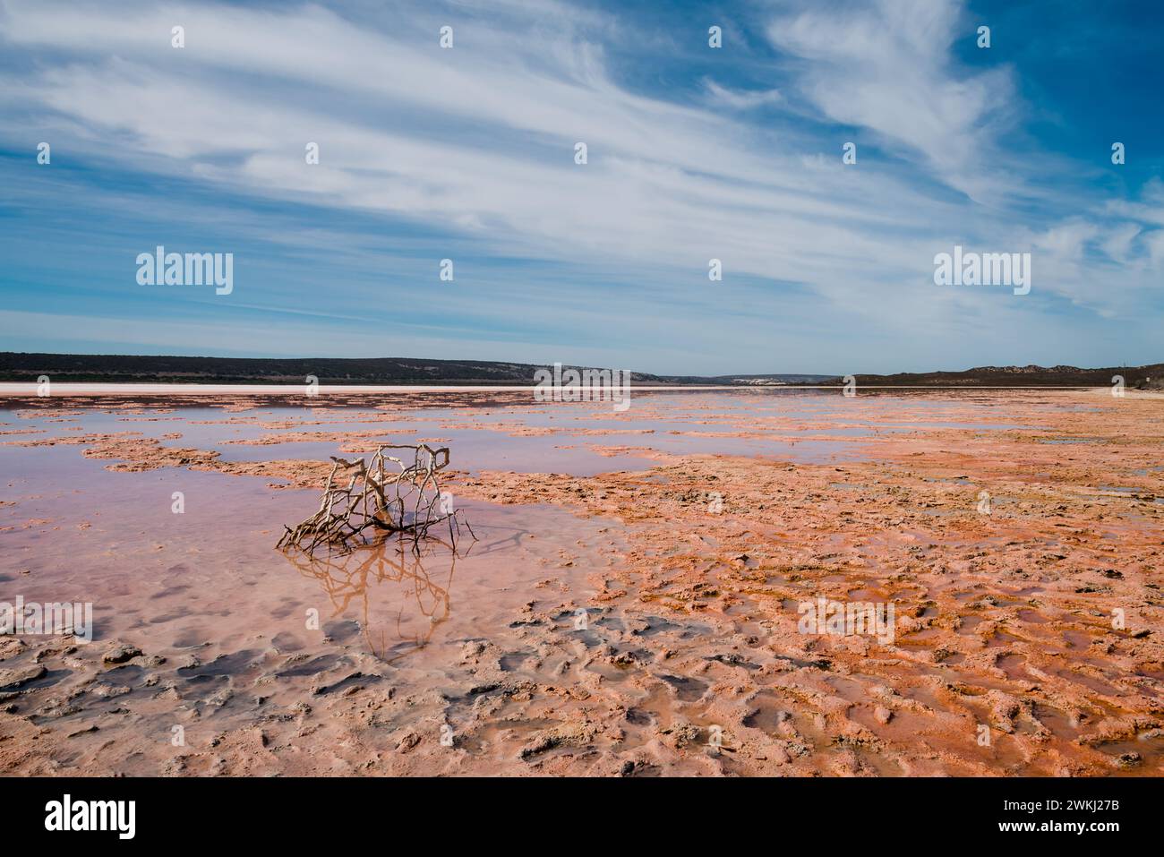 The view of Pink Lake, a salt lake on the west coast of Australia Stock ...