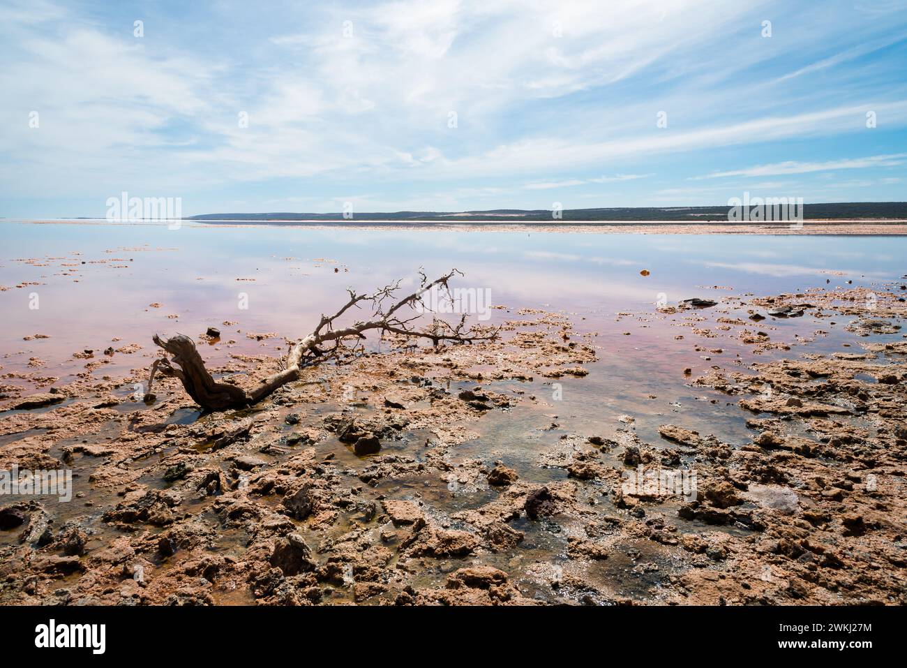 The view of Pink Lake, a salt lake on the west coast of Australia Stock ...