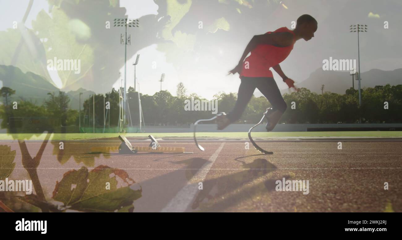 Image of leaves over disabled african american male runner Stock Photo ...