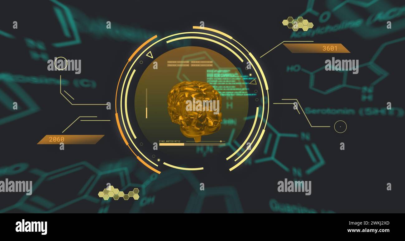 Image of data processing and brain on gray background Stock Photo - Alamy