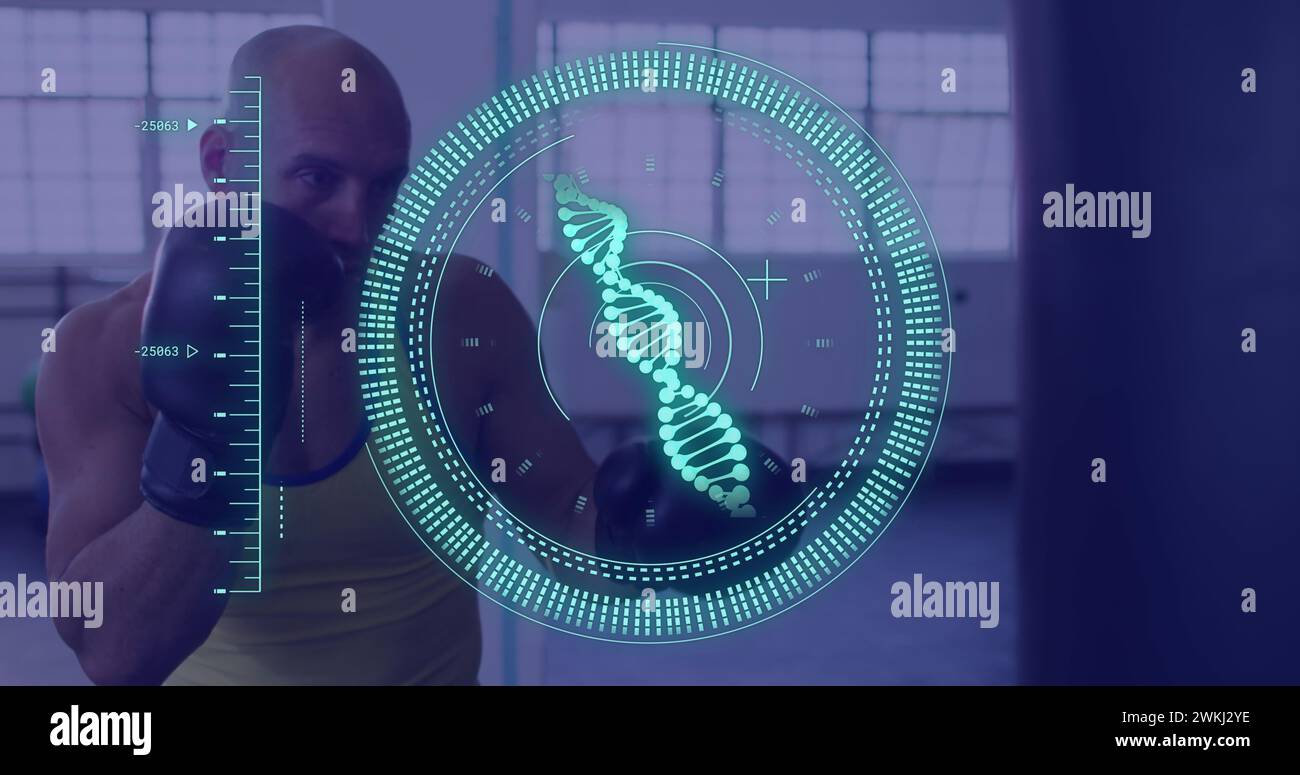 Image of data processing and scope scanning with dna strand over caucasian male boxer Stock ...