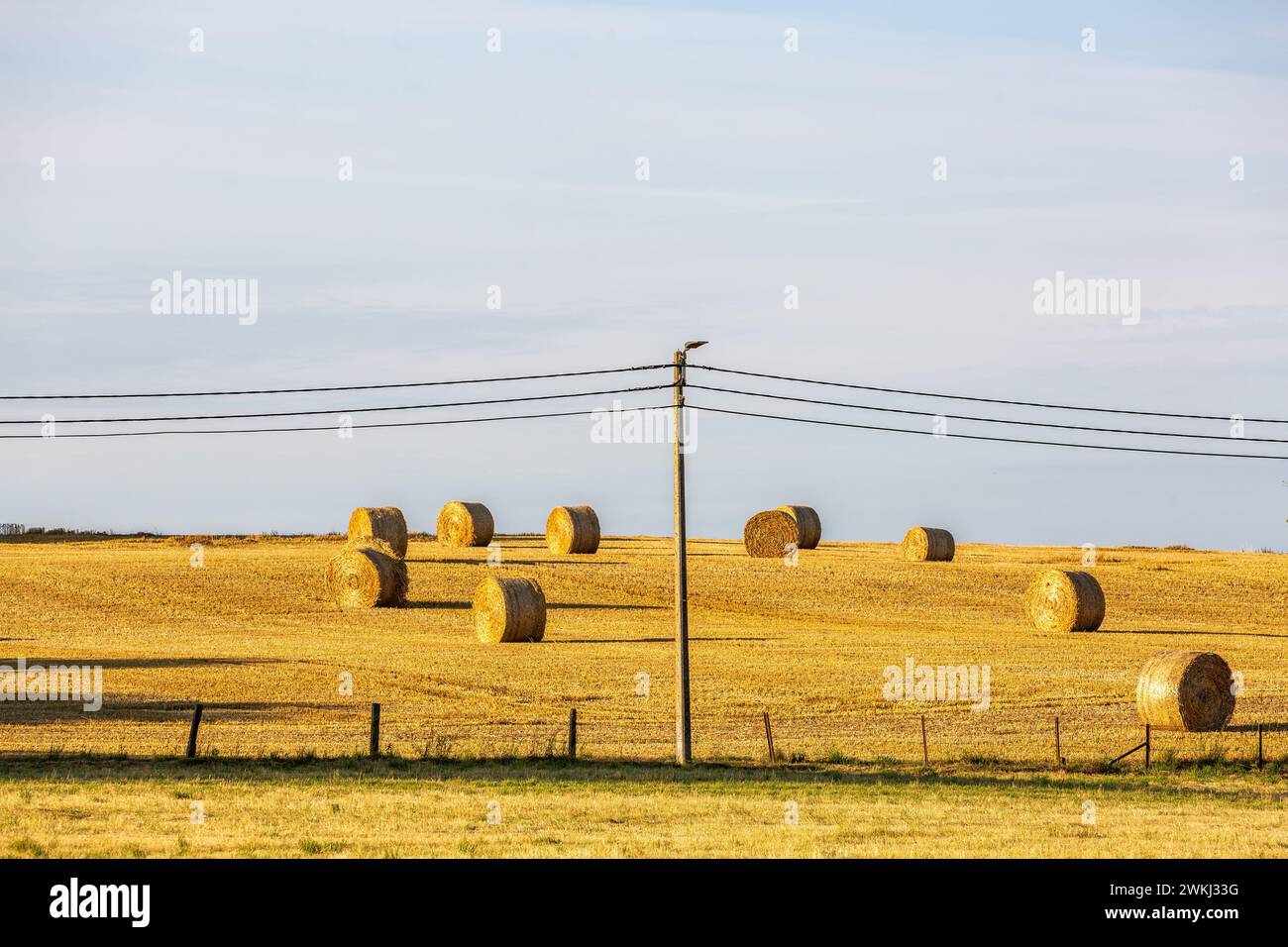 Rolls of straw in a field beside a road. Electric pylon and cables ...