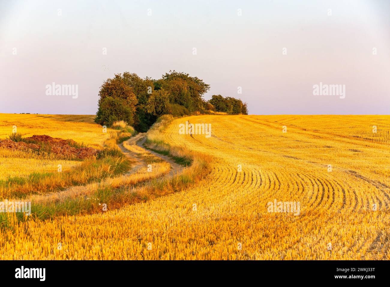 Winding soil path road hi-res stock photography and images - Alamy