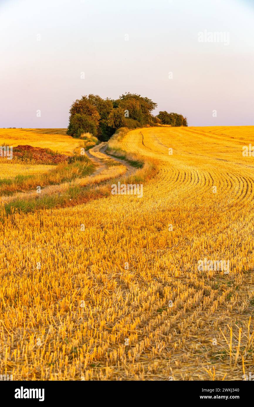 Operating path hi-res stock photography and images - Alamy