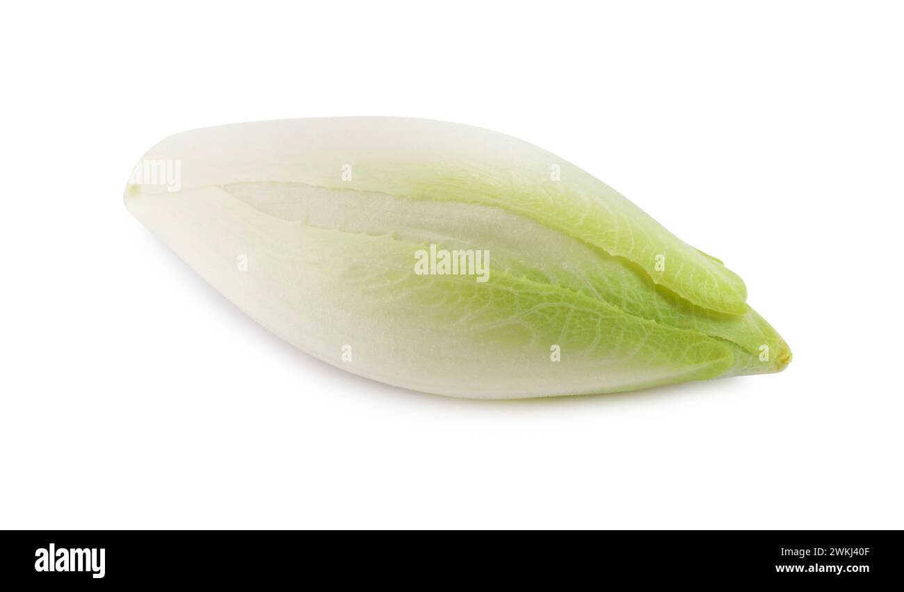 Raw chicory endive leaves Cut Out Stock Images & Pictures - Alamy