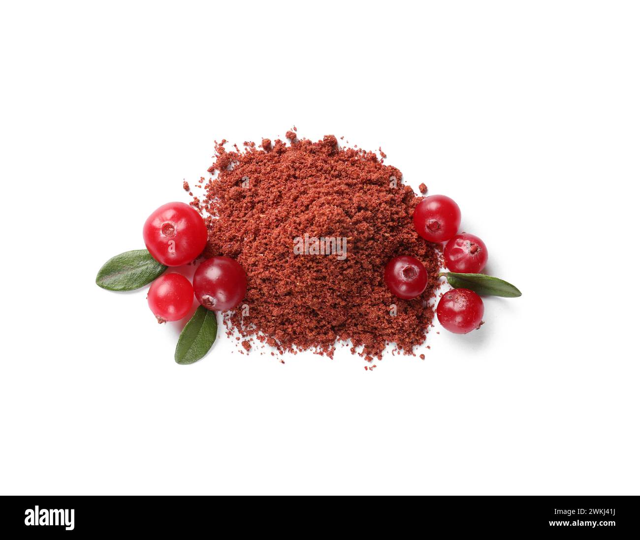Dried cranberry powder, fresh berries and green leaves isolated on ...