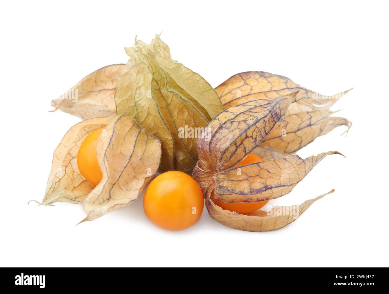Calyxes Cut Out Stock Images & Pictures - Alamy