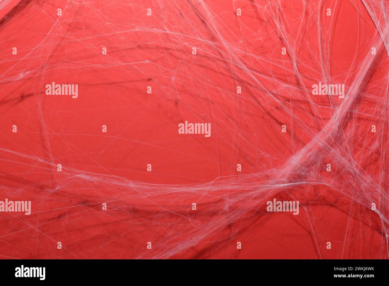 Creepy white cobweb hanging on red background Stock Photo - Alamy