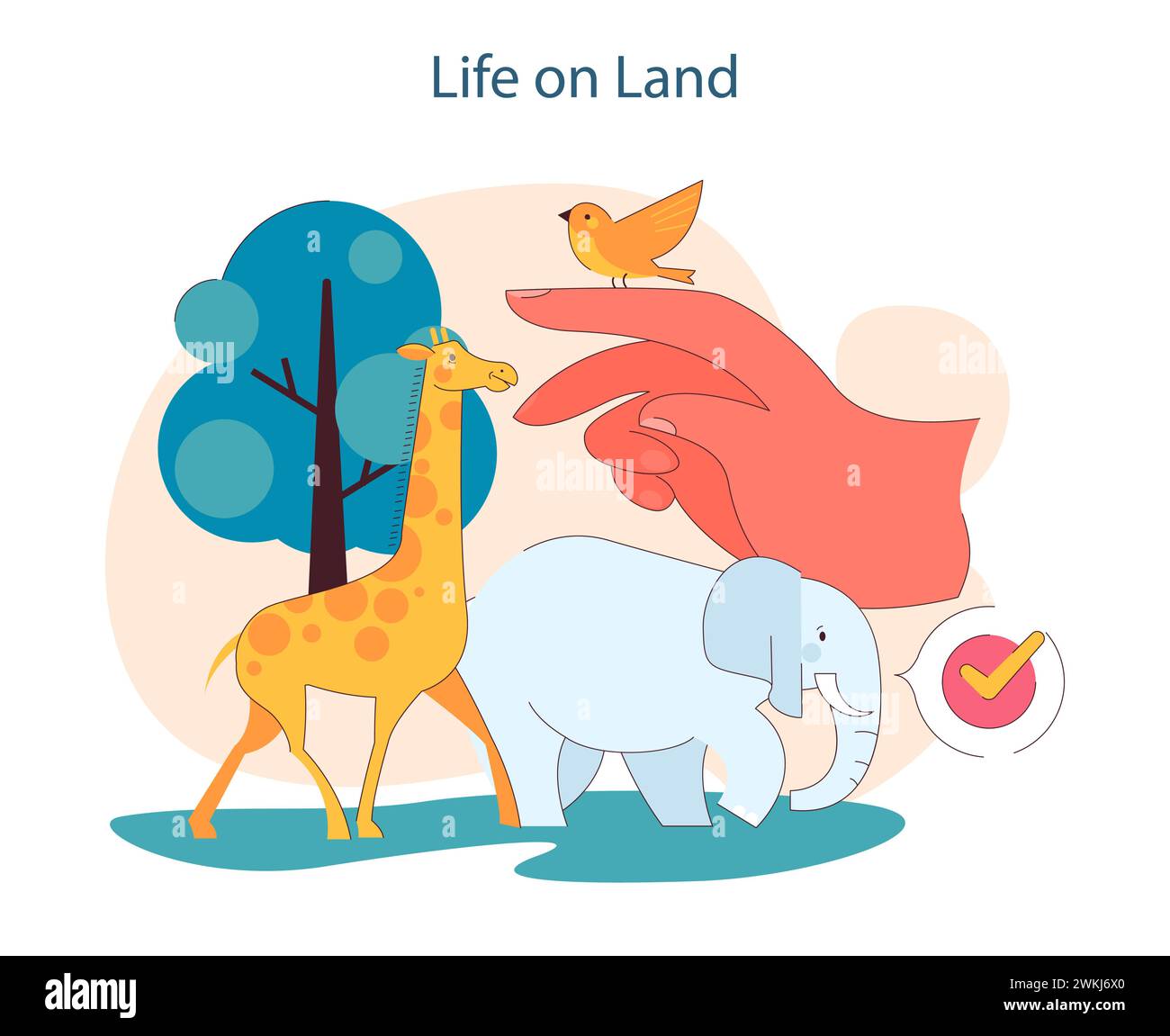Terrestrial ecosystems hi-res stock photography and images - Alamy
