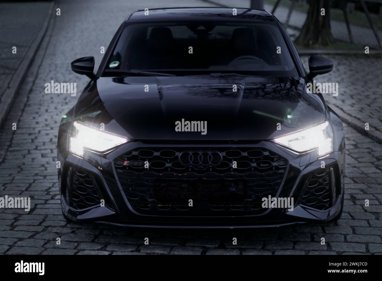 Dortmund, NRW, Germany - 07. February 2024: Dynamic Dominance: The ...