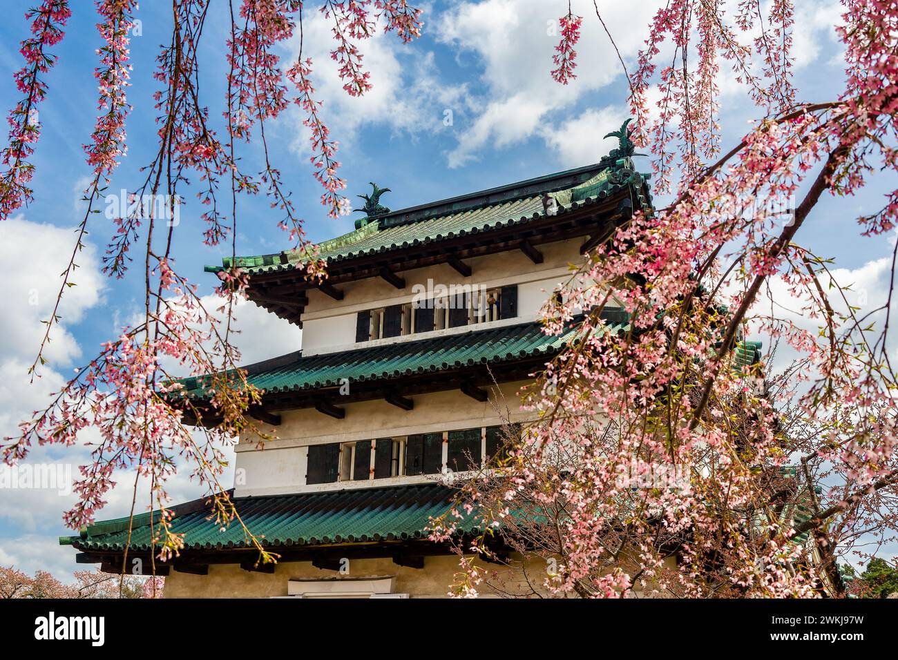Pink Cherry Blossom and a springtime blue sky surrounding an old ...