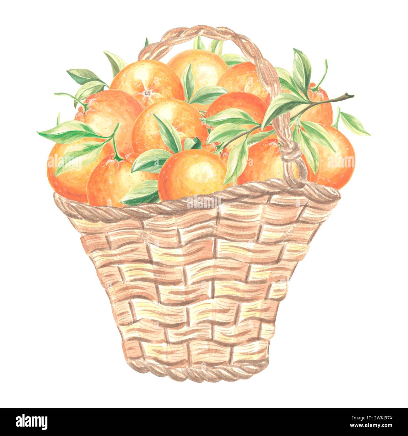 Composition of oranges fruits with green leaves in wicker basket. Hand ...