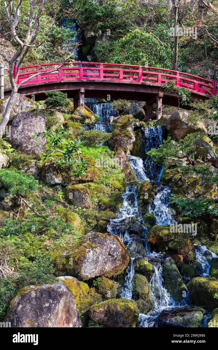 Beautiful Japanese traditional red bridge and colorful foliage during ...