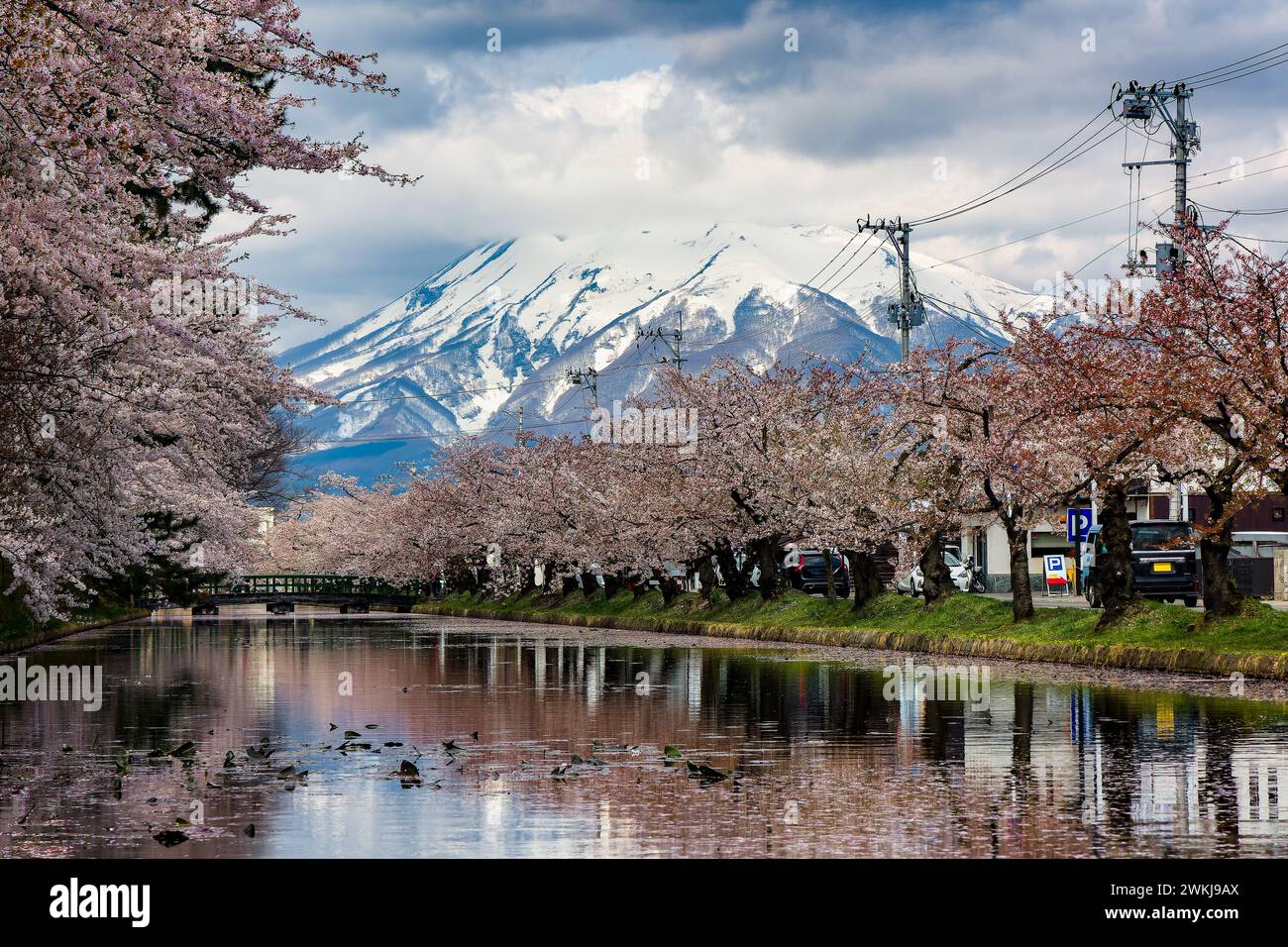 Tree around volcano hi-res stock photography and images - Alamy
