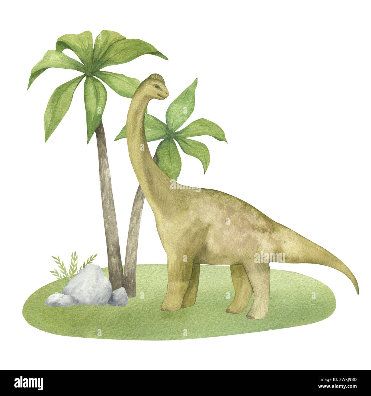 Watercolor illustration of a dinosaur diplodocus on green grass with ...