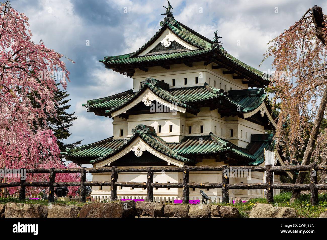 Pink Cherry Blossom and a springtime blue sky surrounding an old ...