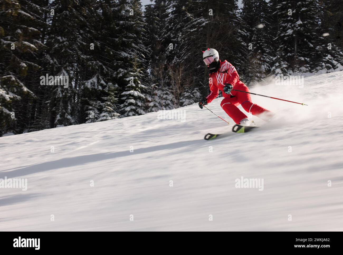 Female skier in a vibrant red ski suit skiing a snowy slope. Trees ...