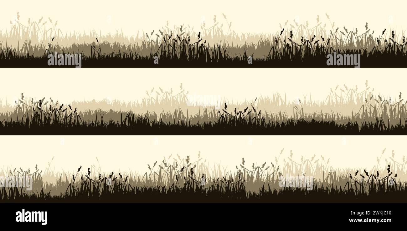 Meadow silhouettes with grass, plants on plain. Panoramic summer lawn ...