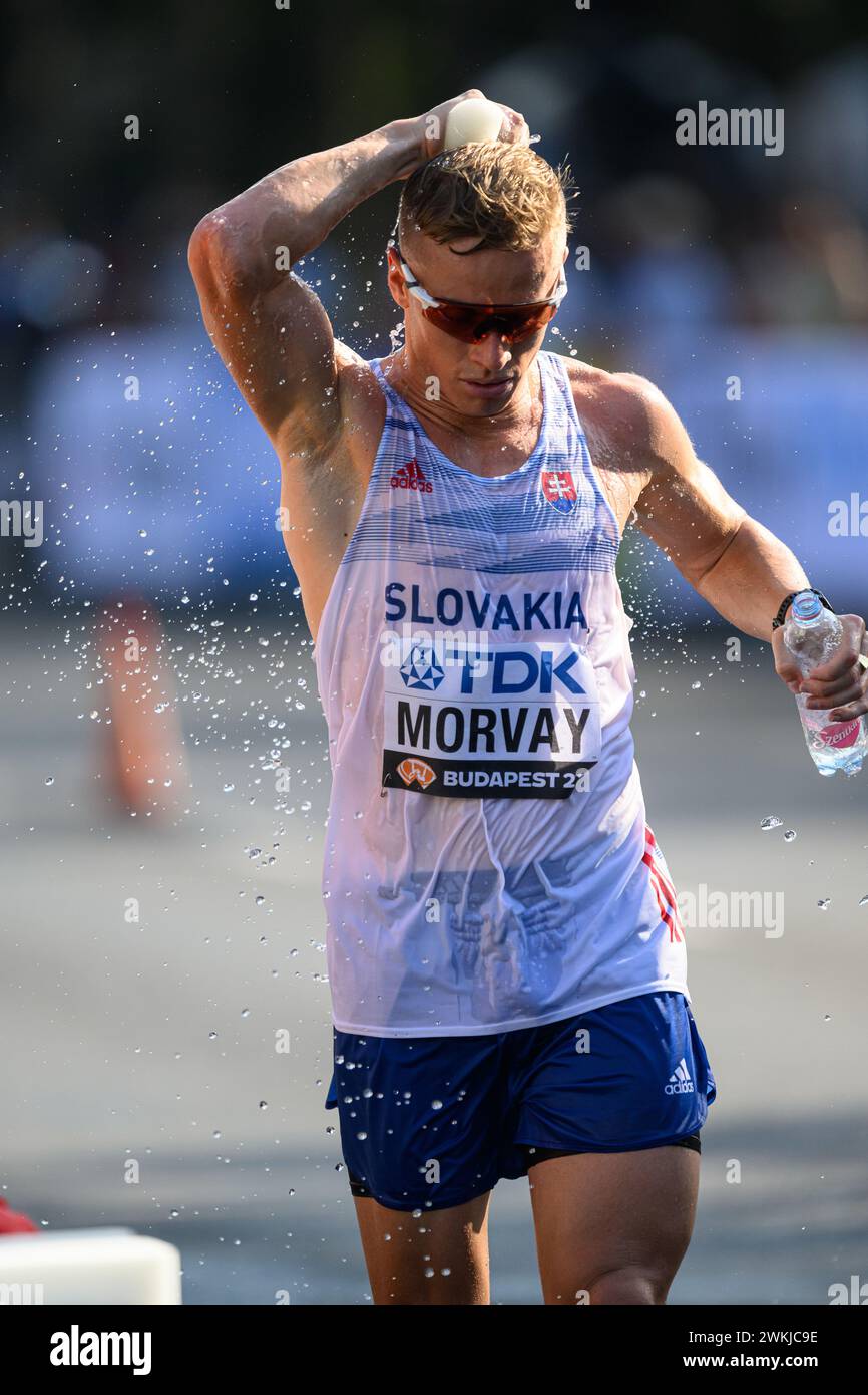 Michal MORVAY participating in the 35 KILOMETRES RACE WALK at the World ...