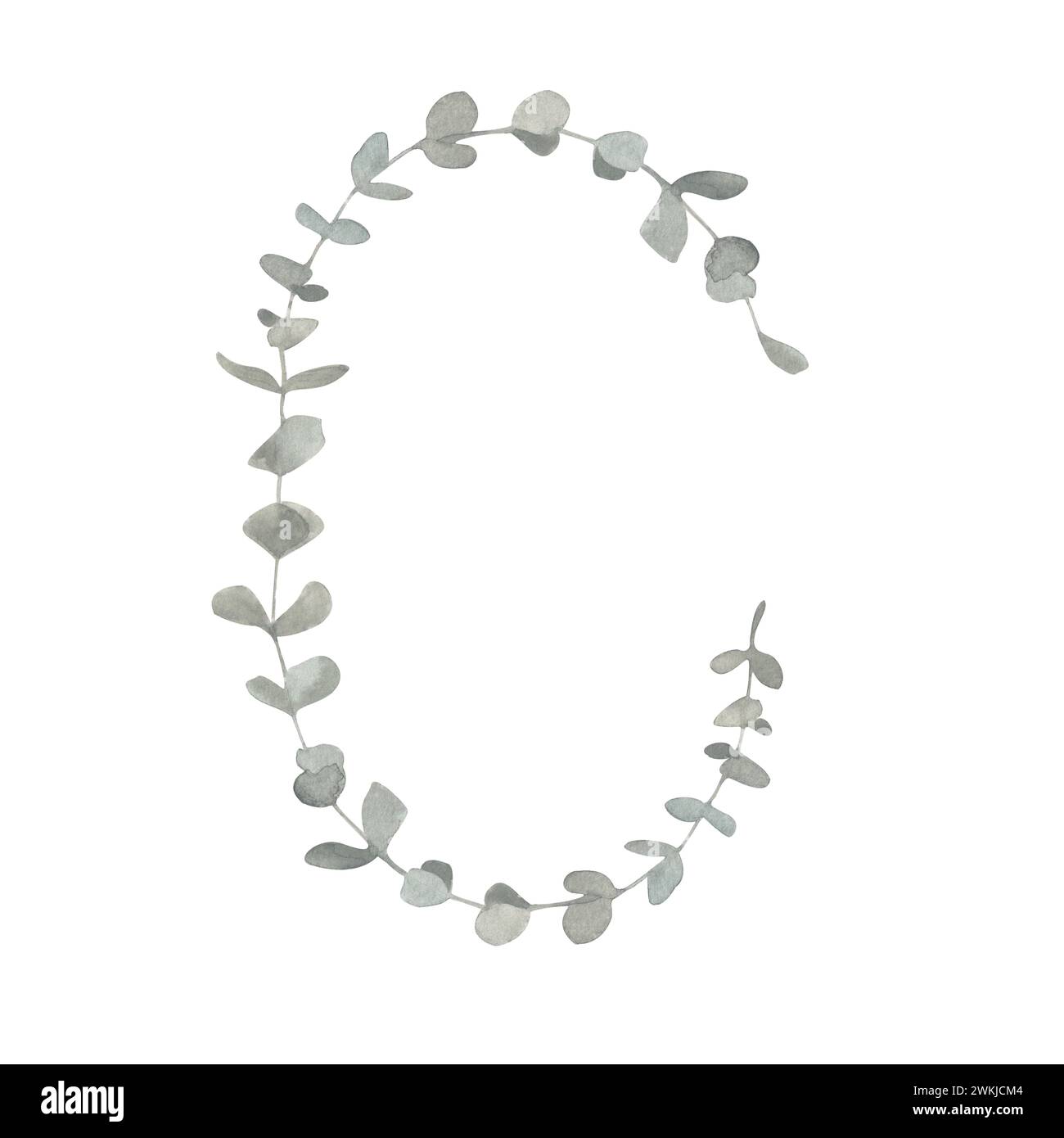 Sage green leaves eucalyptus Cut Out Stock Images & Pictures - Alamy