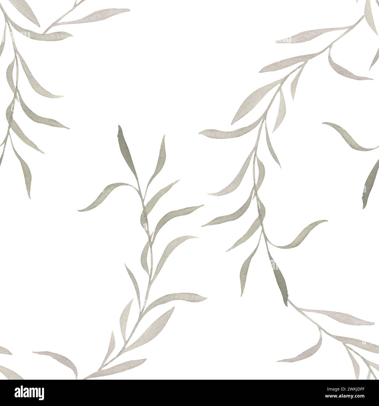 Dusty pastel green eucalyptus foliage seamless pattern for stationery ...