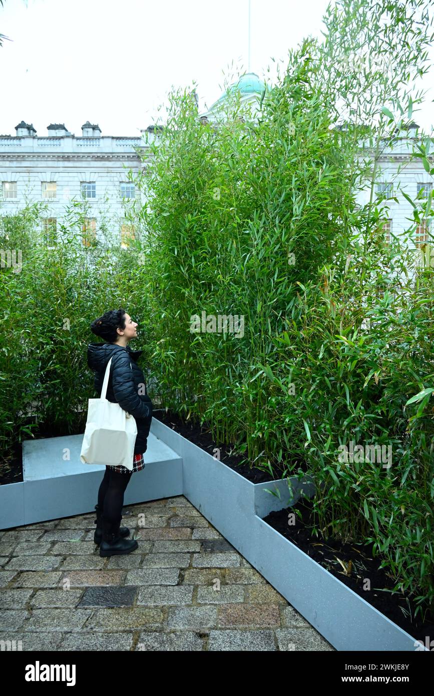 Using over 300 locally sourced bamboos, the 15-metre-long installation ...