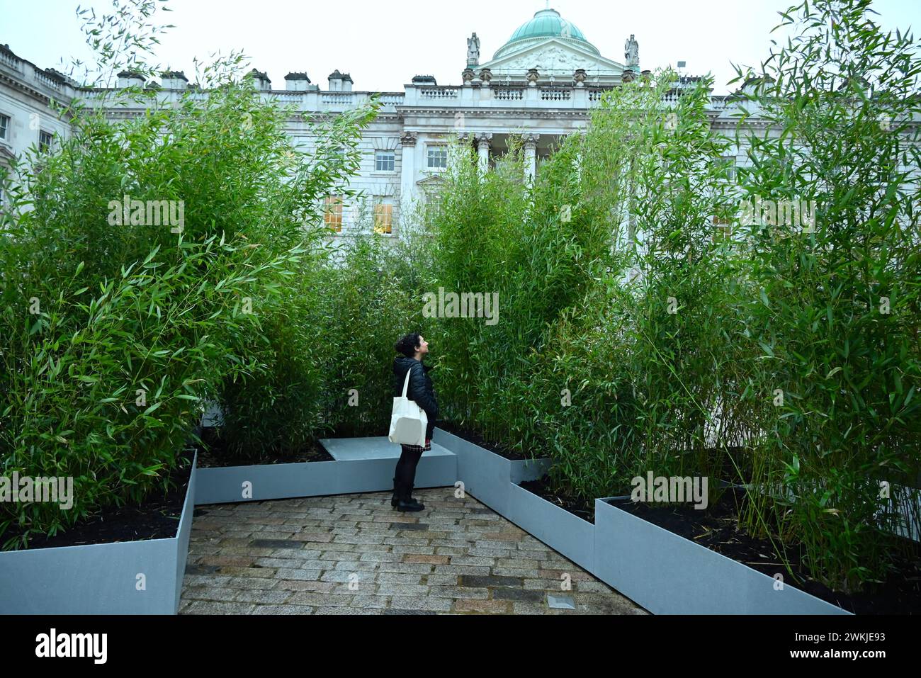 Using over 300 locally sourced bamboos, the 15-metre-long installation ...