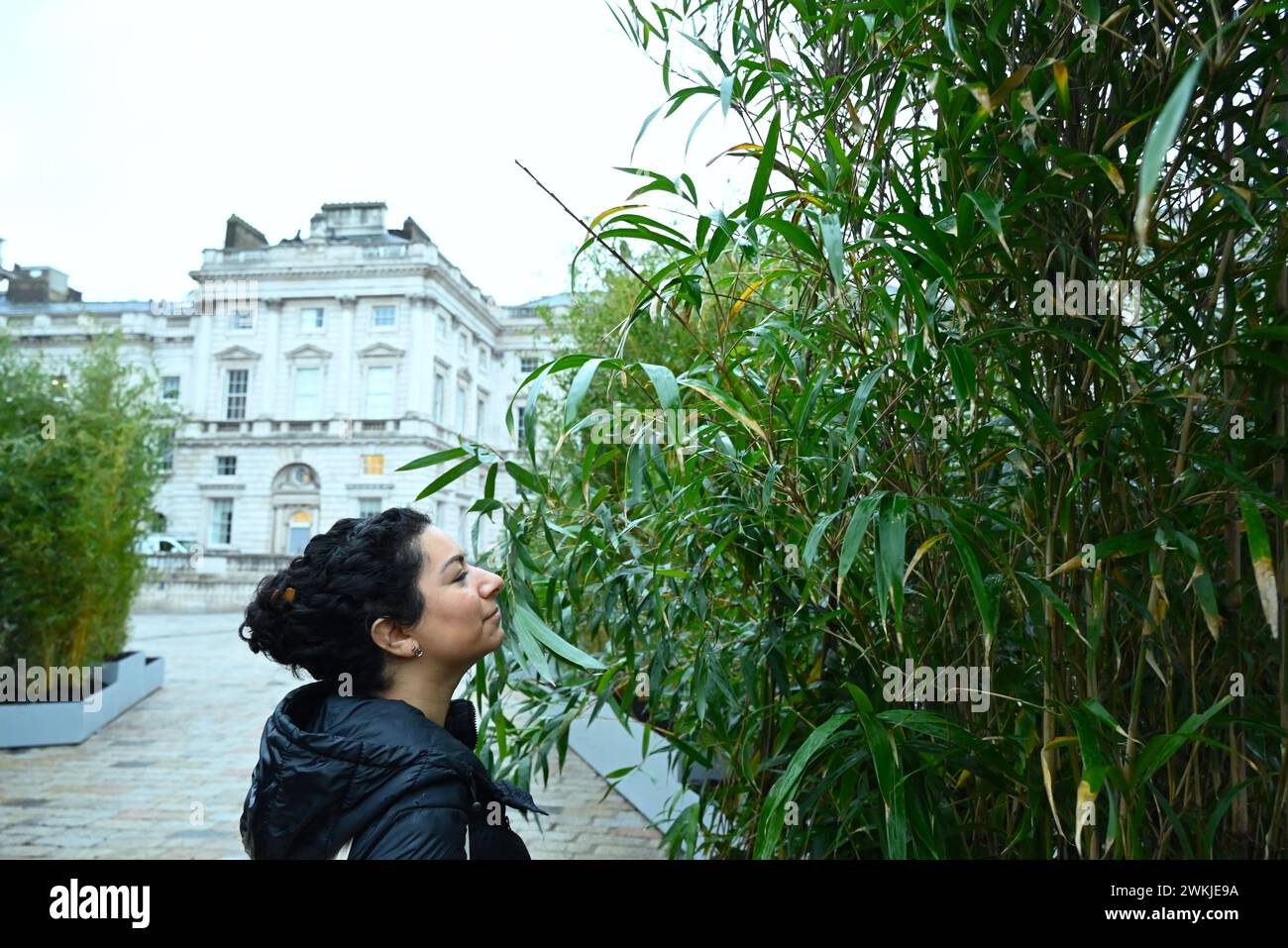 Using over 300 locally sourced bamboos, the 15-metre-long installation ...