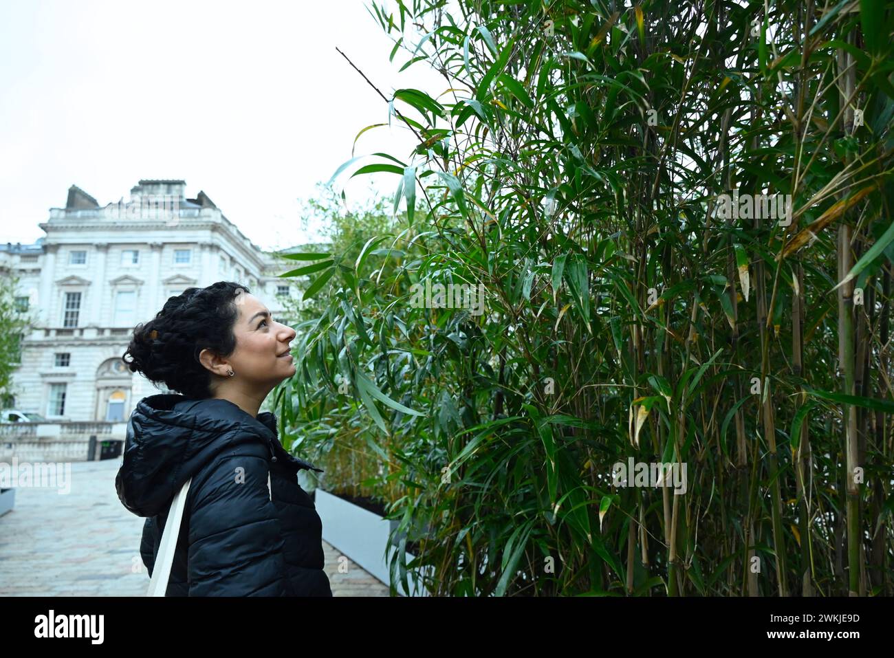 Using over 300 locally sourced bamboos, the 15-metre-long installation ...