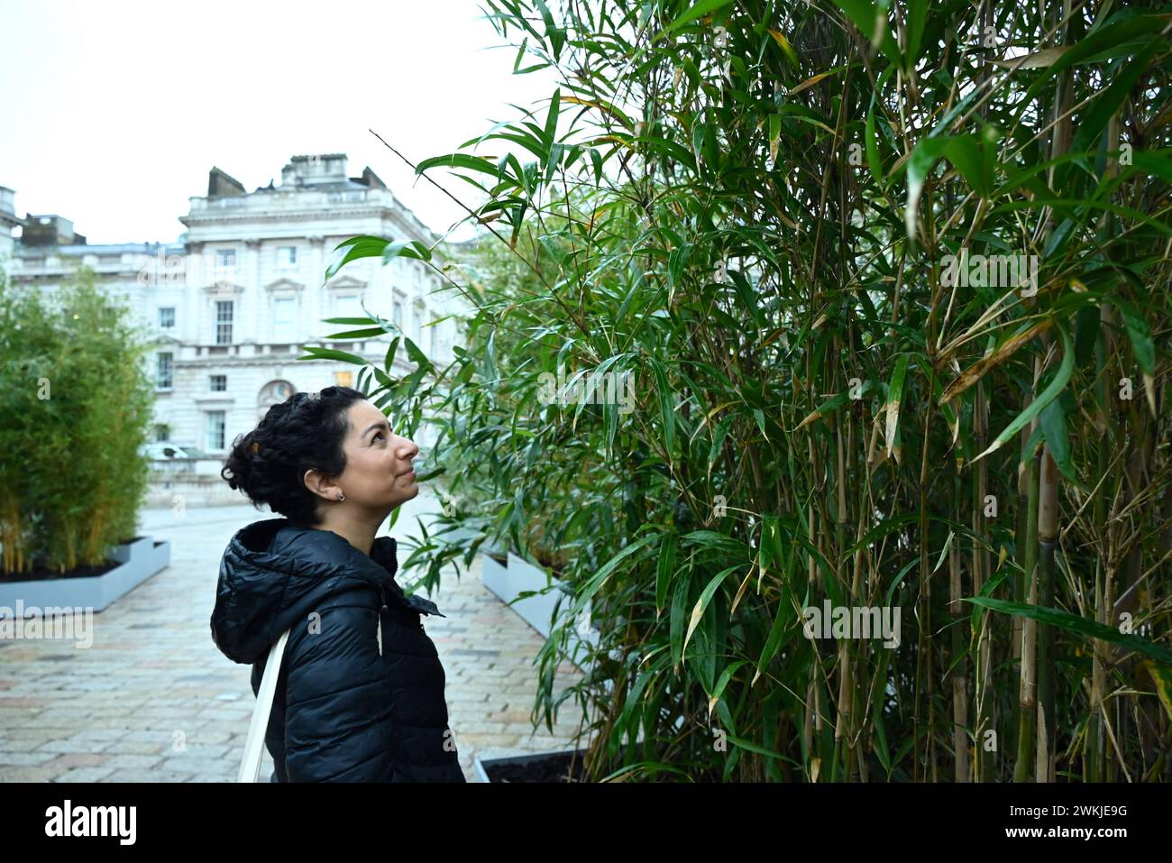 Using over 300 locally sourced bamboos, the 15-metre-long installation ...