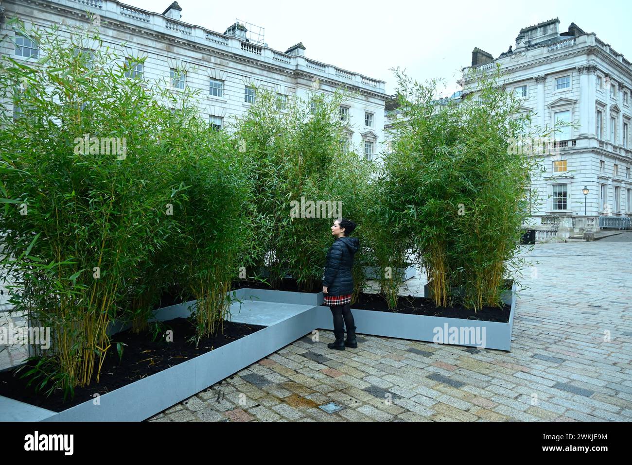 Using over 300 locally sourced bamboos, the 15-metre-long installation ...